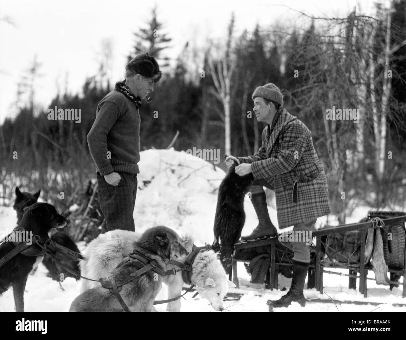 1920s 1930s TWO MEN FUR TRAPPERS STANDING BY TEAM OF SLED DOGS Stock ...