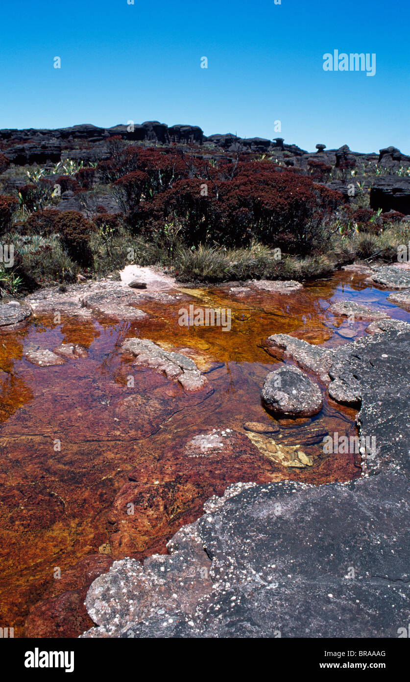 Mount roraima brazil hi-res stock photography and images - Alamy