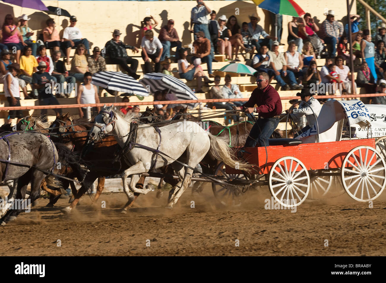 Chuck wagon races, British Columbia, Canada, North America Stock Photo ...