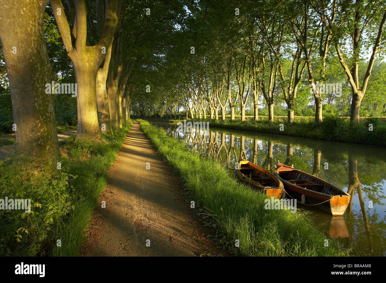 The tow path with row boats on the Canal du Midi, nr Carcassonne ...