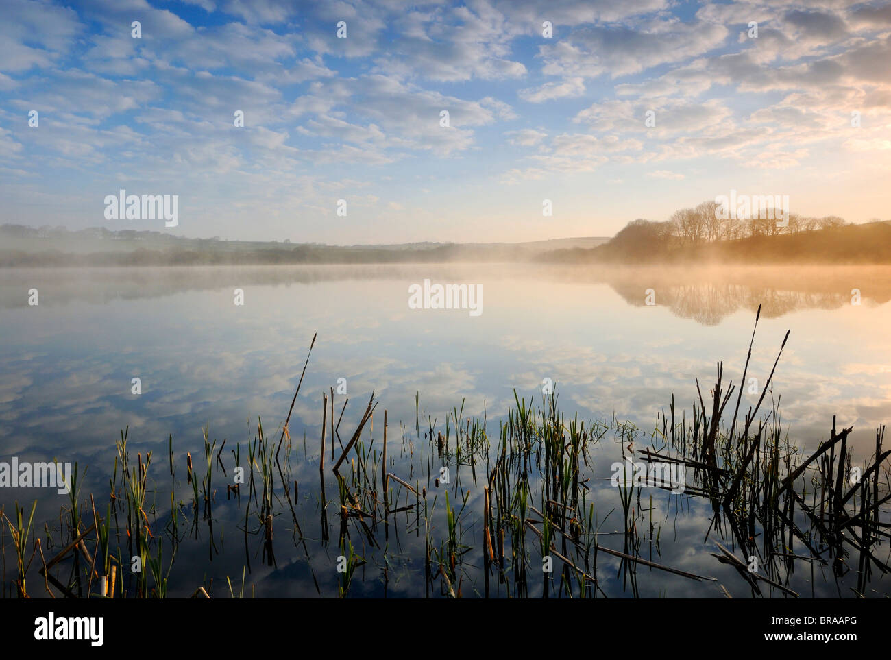 Devon cornwall border hi-res stock photography and images - Alamy