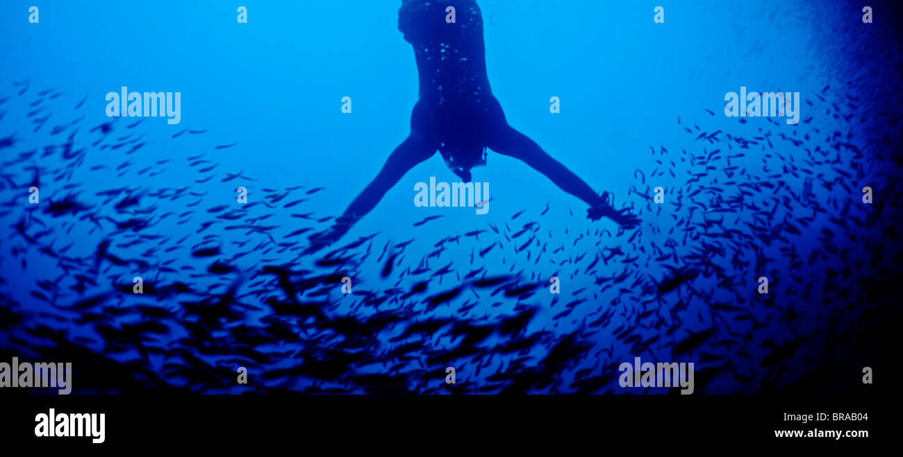 Free diving in a cave off Espanola Island, Galapagos, Ecuador, South ...