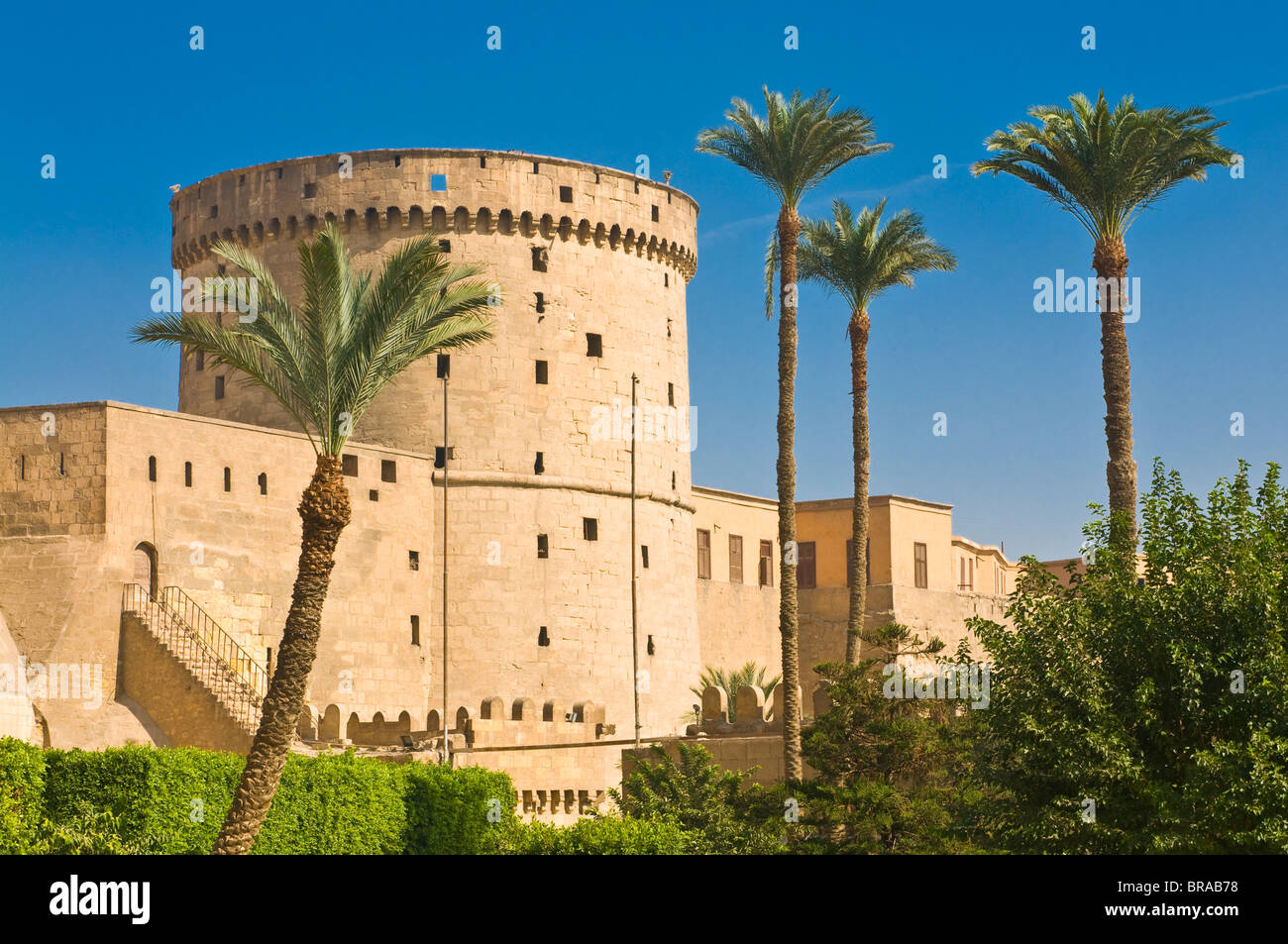 The citadel of Cairo, Egypt, North Africa, Africa Stock Photo - Alamy