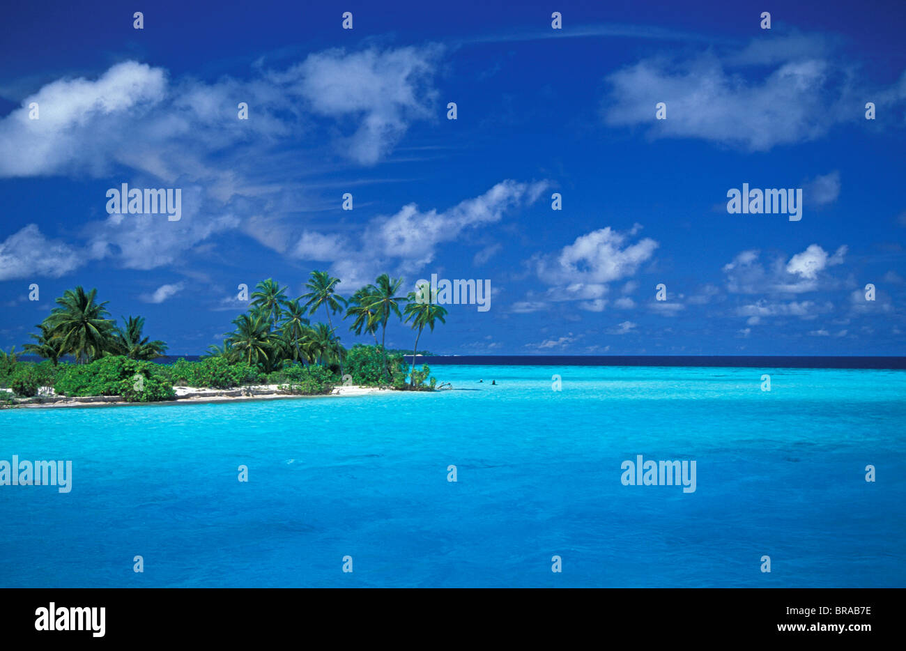 Tropical island with clear blue water, Maldives Stock Photo - Alamy