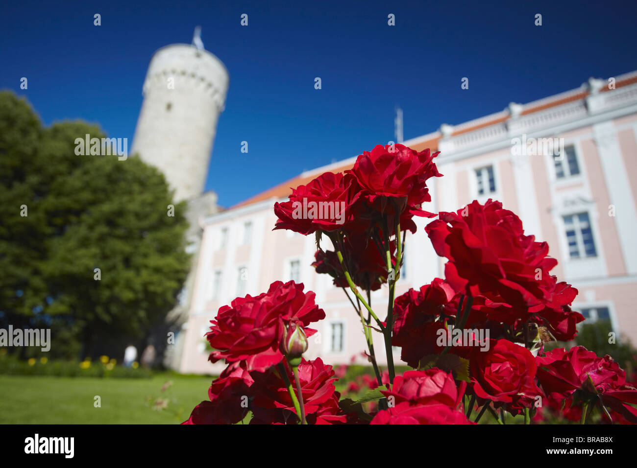Toompea Castle High Resolution Stock Photography and Images - Alamy