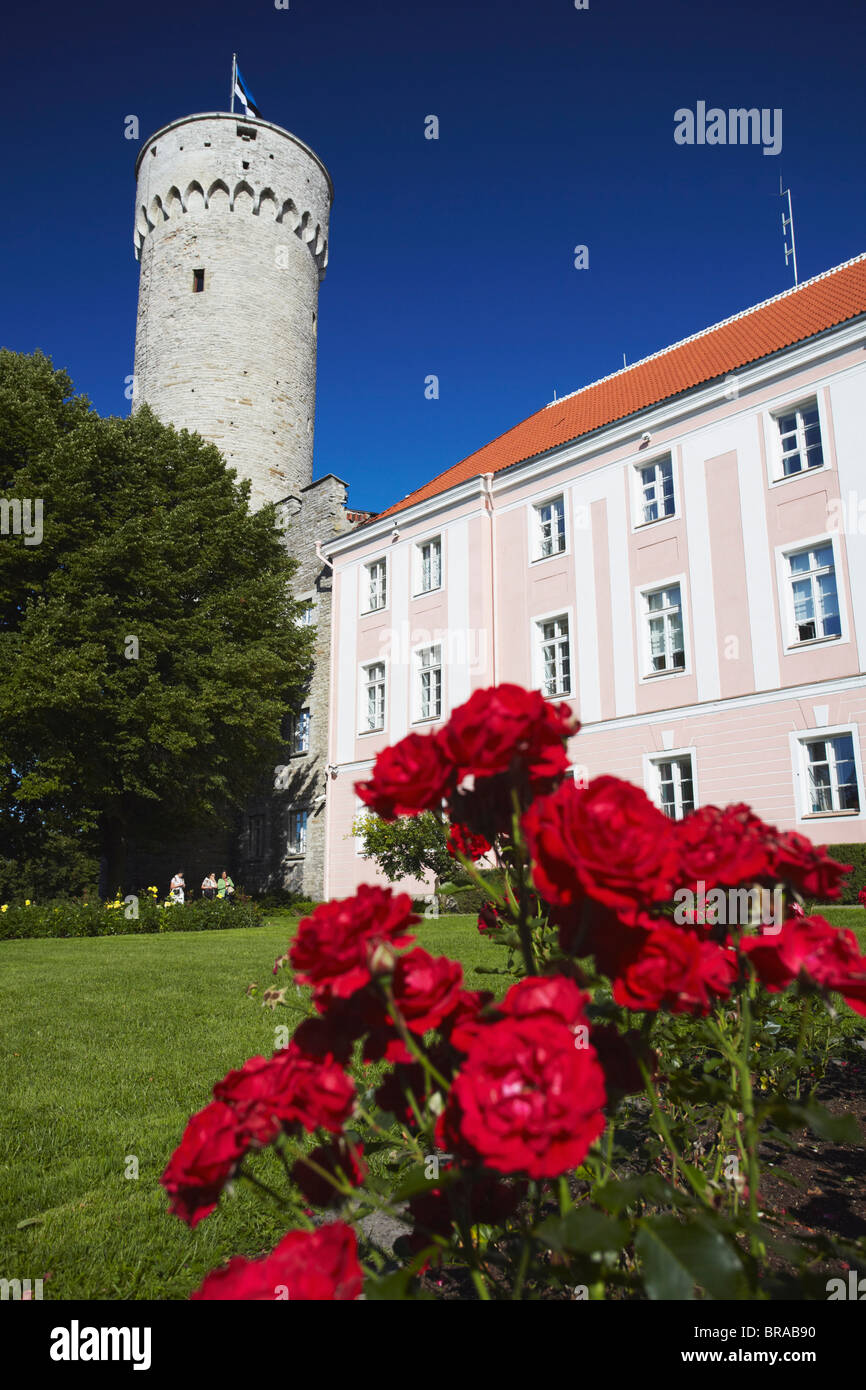Toompea Castle High Resolution Stock Photography and Images - Alamy