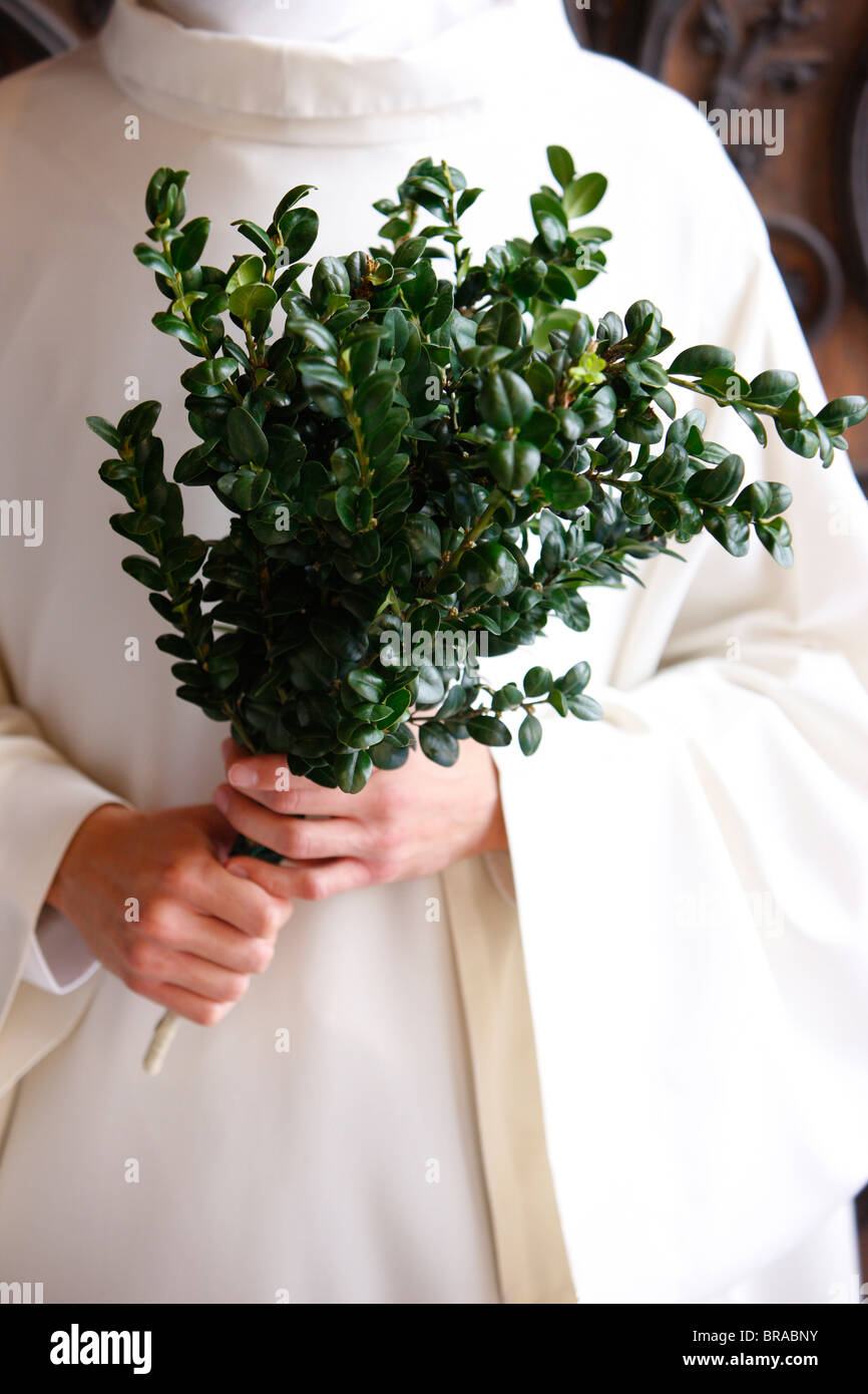 Boxwood branch used for blessing, Paris, France, Europe Stock Photo - Alamy