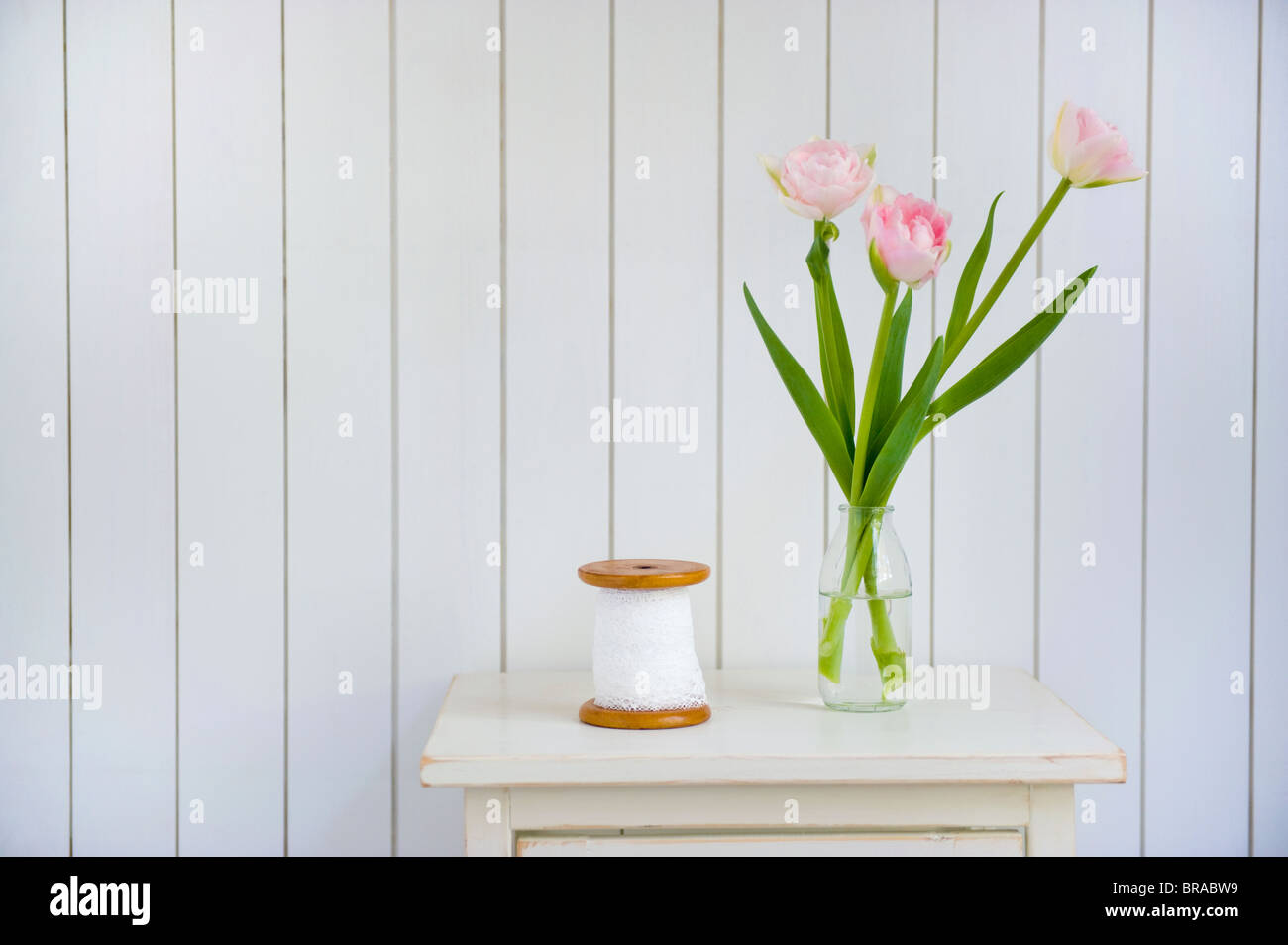 Pink lace tulip hi-res stock photography and images - Alamy