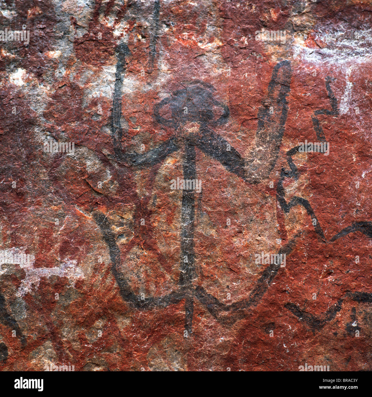 Karowrieng rock paintings, Chi-Chi Gorge, Upper Mazaruni District ...