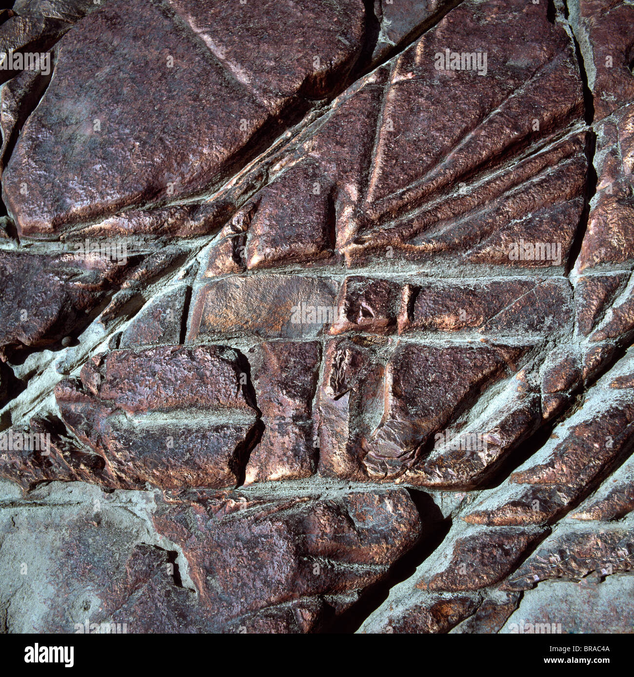 Red jasper rock hi-res stock photography and images - Alamy