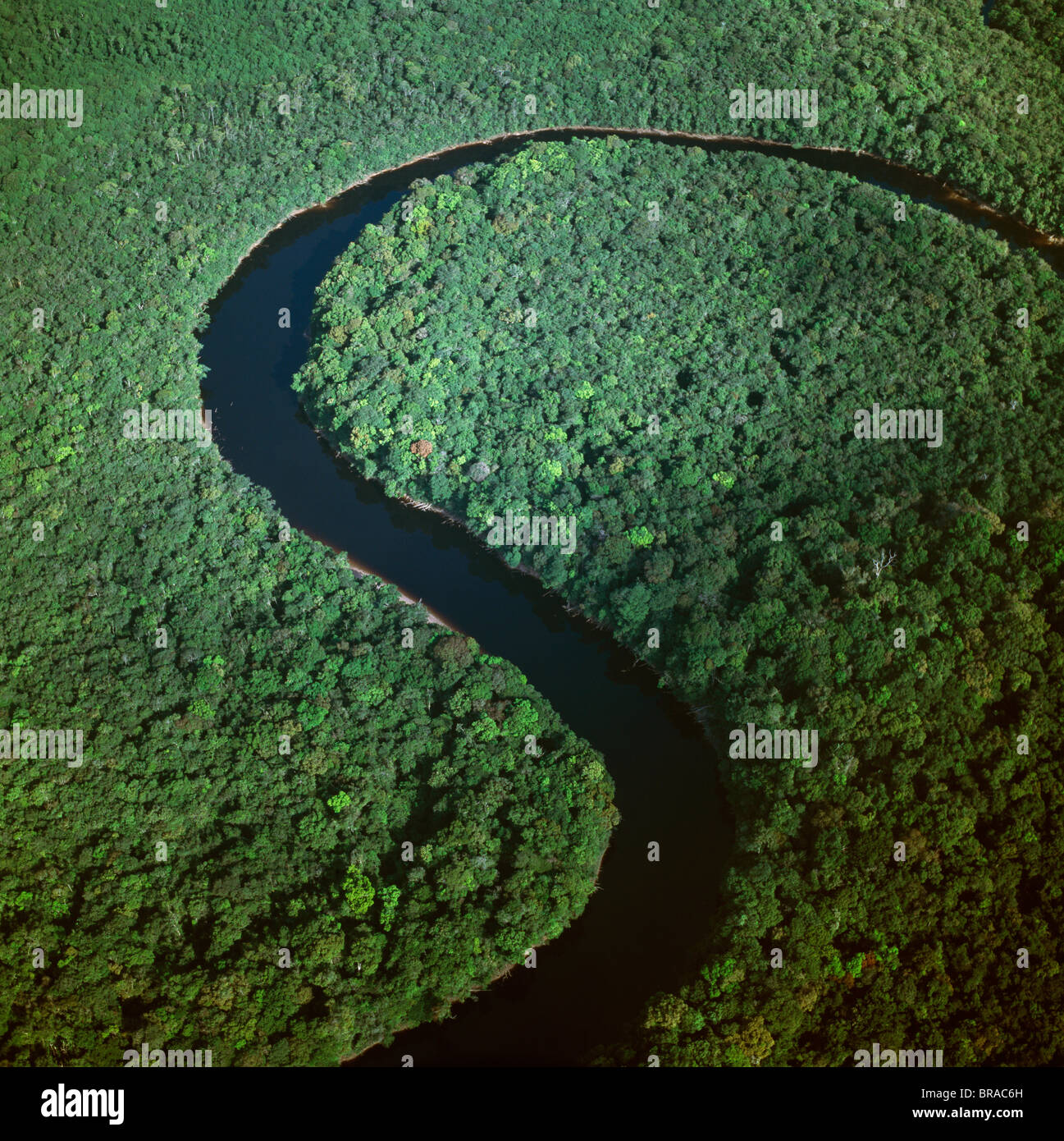 Mazaruni river hi-res stock photography and images - Alamy