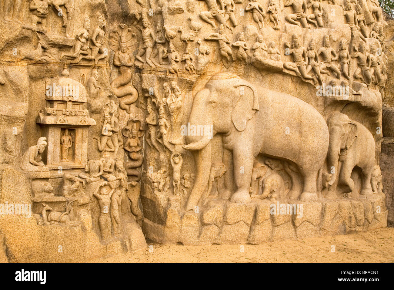 Relief panel hi-res stock photography and images - Alamy