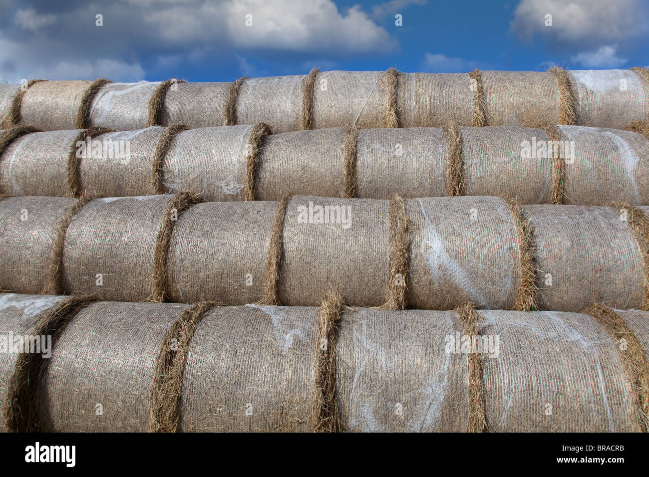 Round Bale stack after Harvest Norfolk September Stock Photo - Alamy
