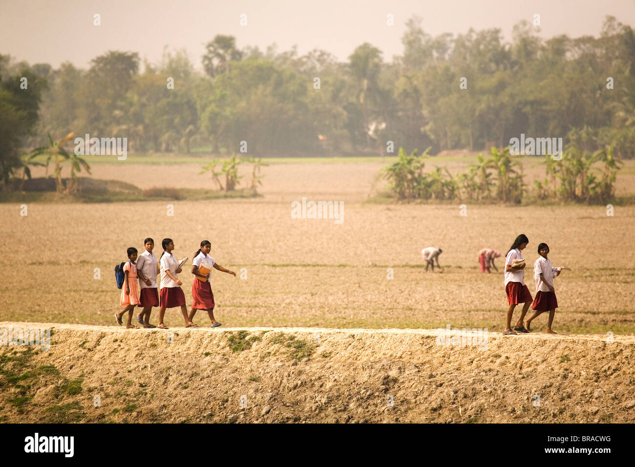 Schoolgirls walk along a dyke on the edge of the Sunderbans (Sundarbans ...