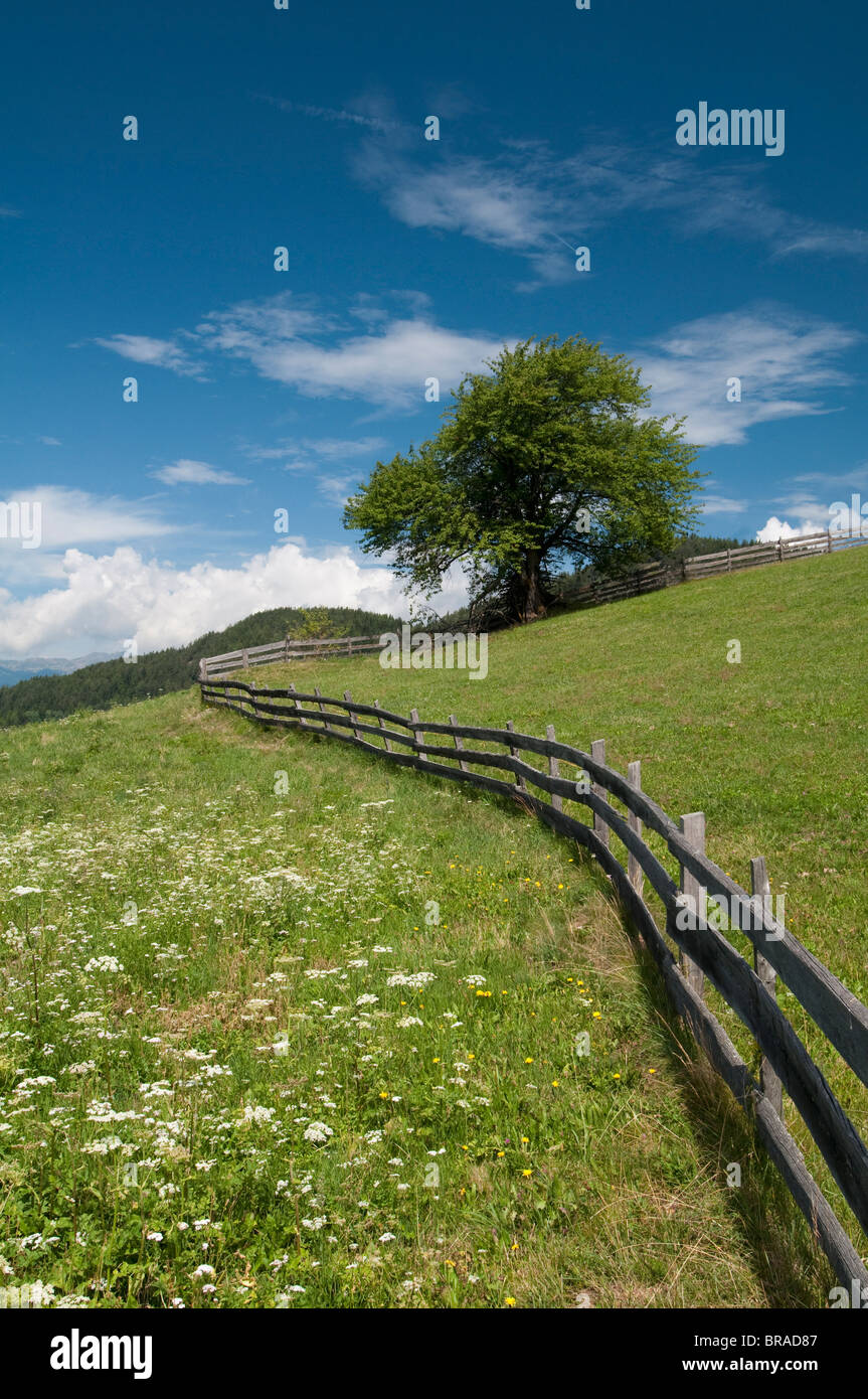 San Pietro, Funes Valley (Villnoss), Dolomites, Trentino Alto Adige ...