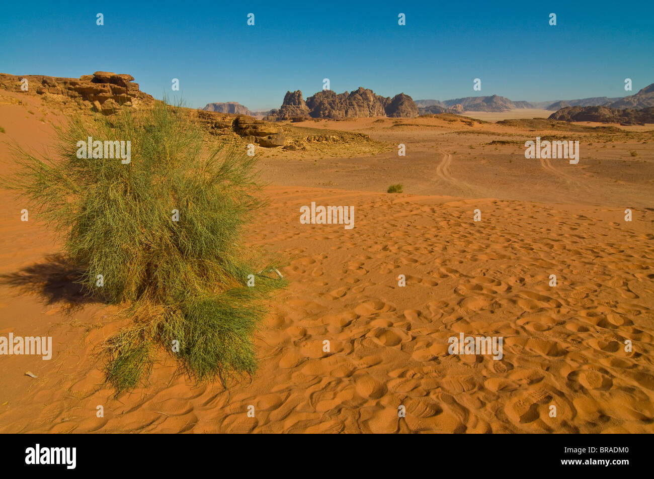 The stunning desert scenery of Wadi Rum, Jordan, Middle East Stock ...