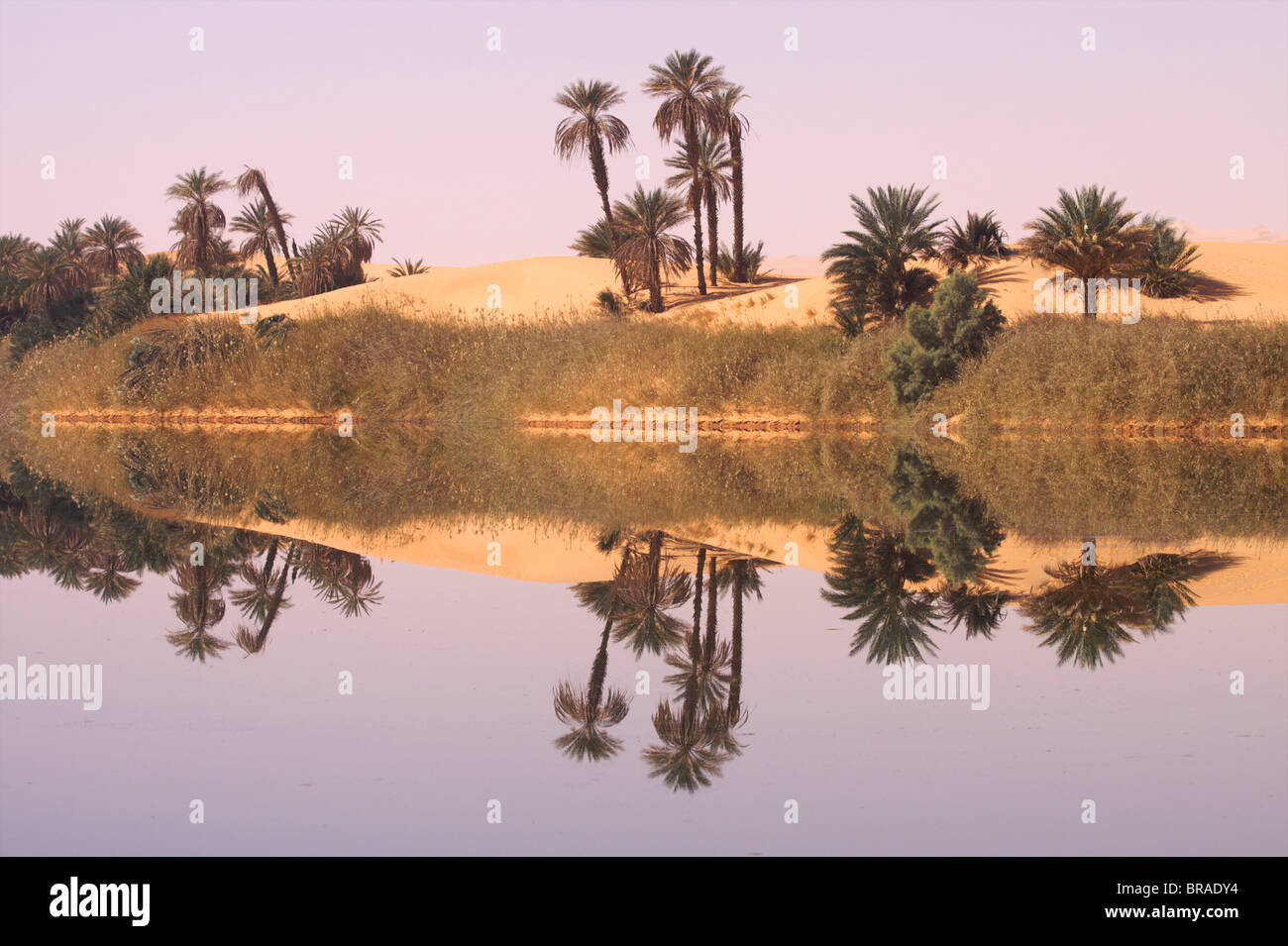 In the erg of Ubari, the Umm-el Ma (Mother of the Waters) Lake, Libya ...