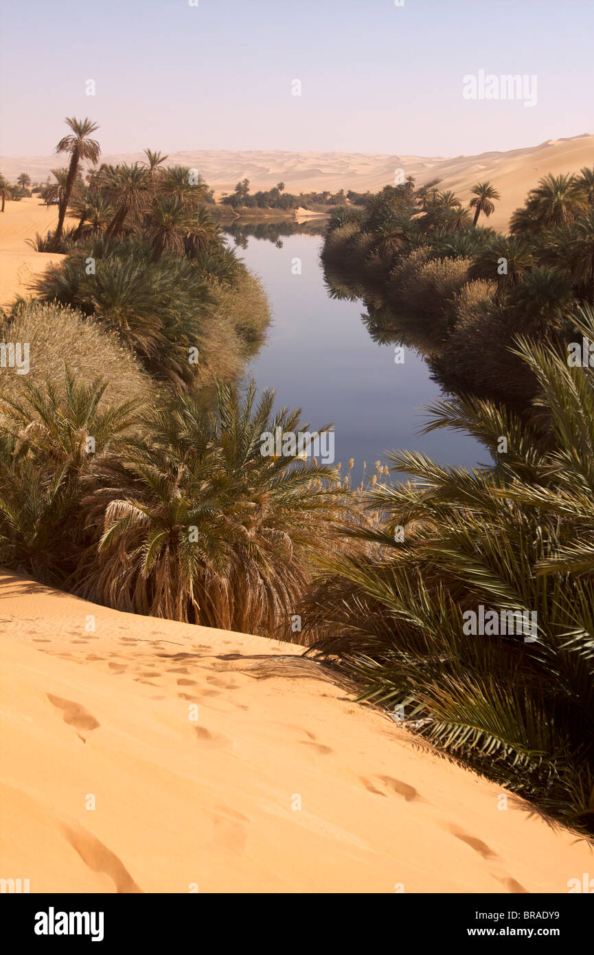In the erg of Ubari, the Umm-el Ma (Mother of the Waters) Lake, Libya ...
