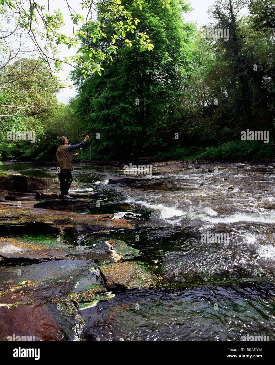 Glenelly River, Co. Tyrone, Ireland Stock Photo - Alamy