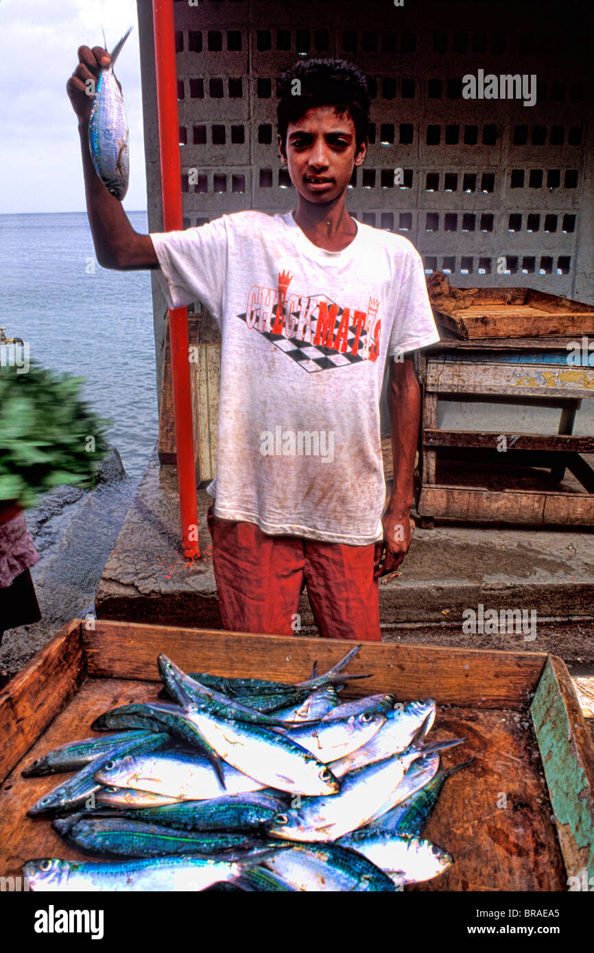 Fish fish market grenada market hi-res stock photography and images - Alamy