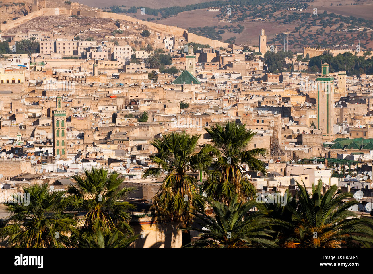 Town of Fez, Morocco, North Africa, Africa Stock Photo - Alamy
