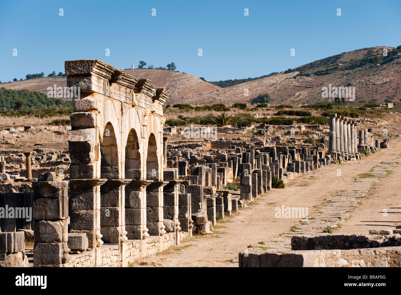 Decumanus maximus roman ruins hi-res stock photography and images - Alamy