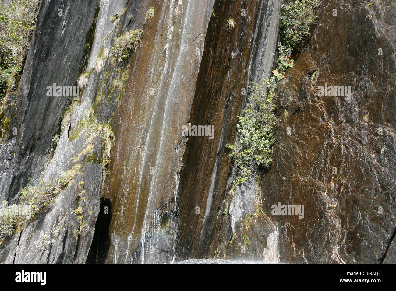 Waterfall Rock Face, South Island, New Zealand Stock Photo - Alamy