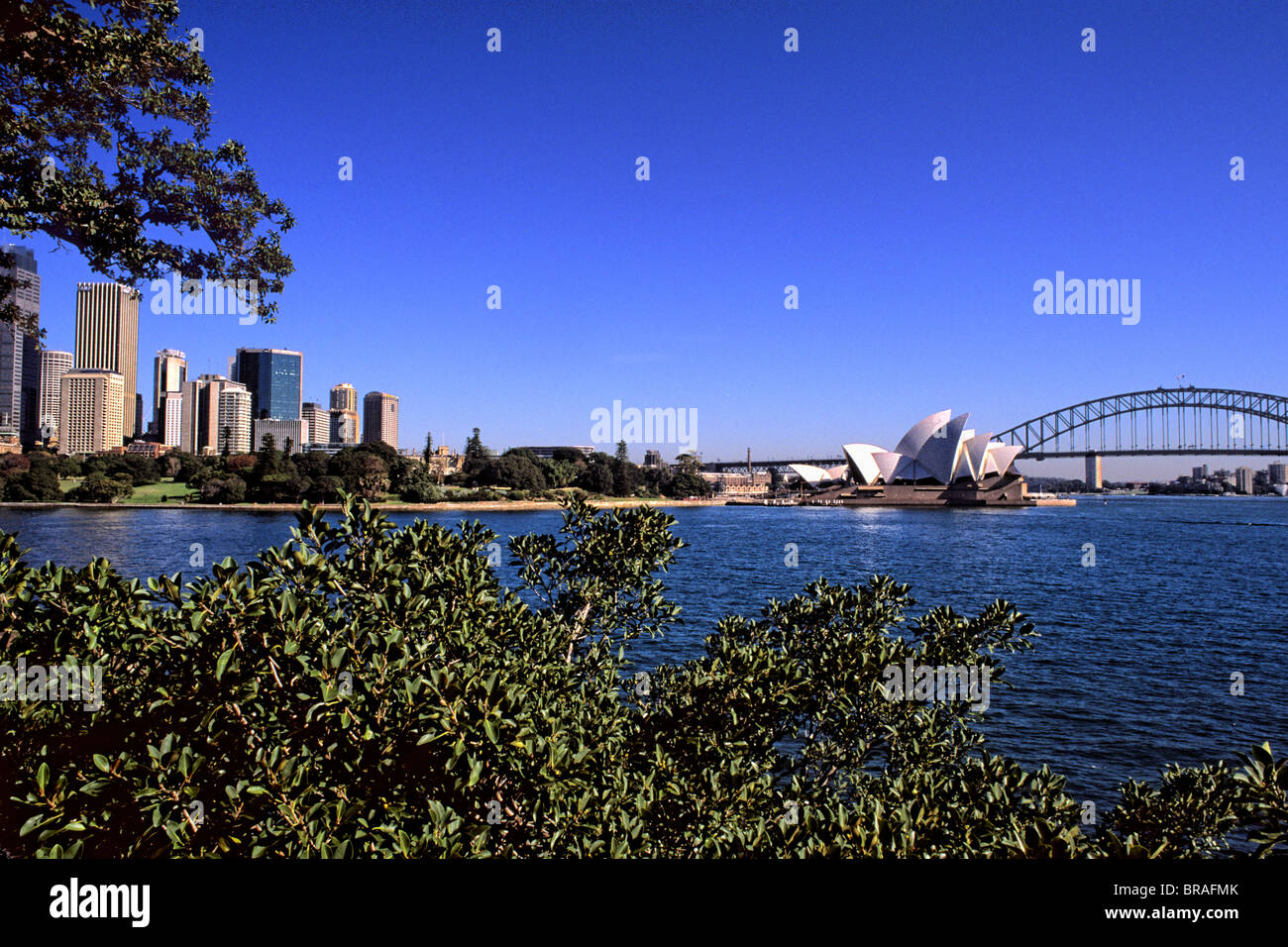 Colorful Harbour with Famous Sydney Opera House and Harbour Bridge in ...