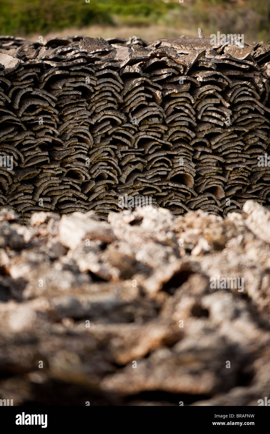 Cork drying, Chefchaouen, Morocco, North Africa, Africa Stock Photo - Alamy