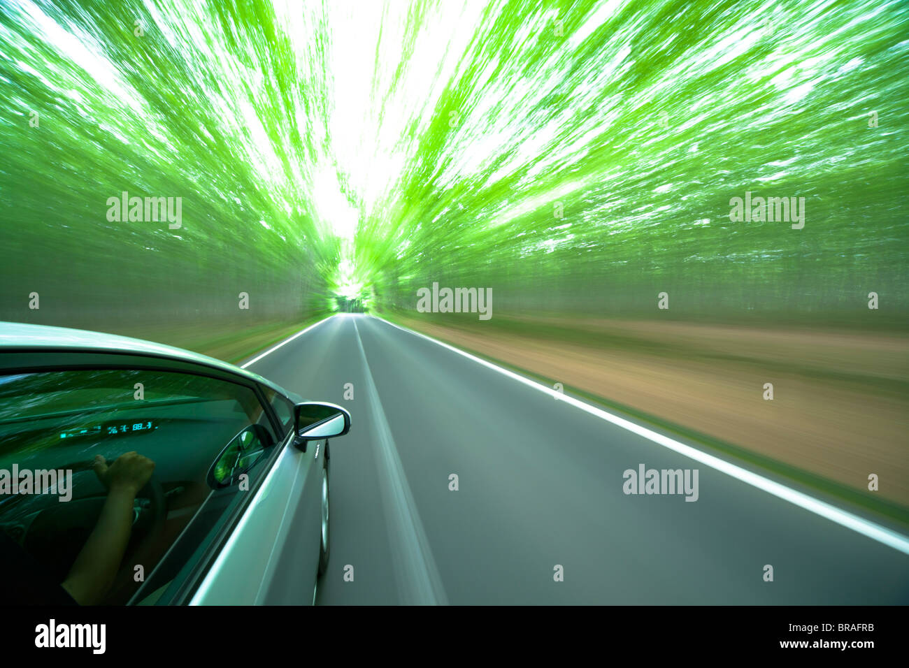 car driving fast into forest Stock Photo - Alamy