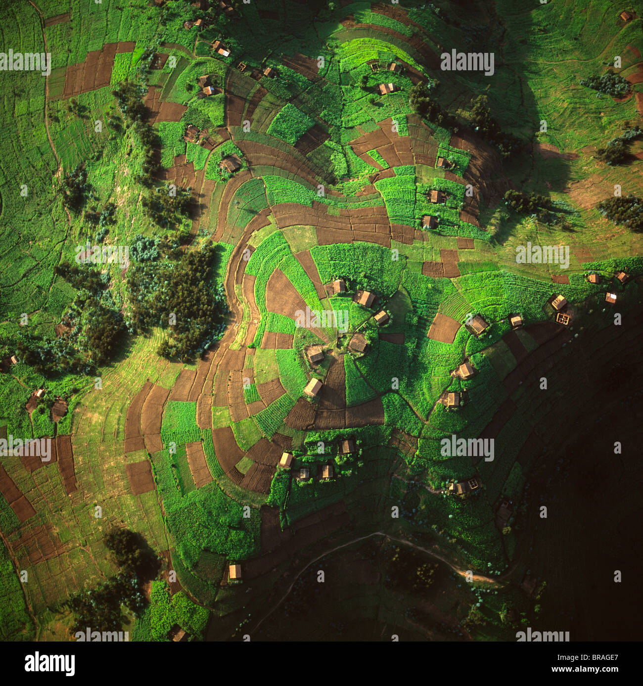 Aerial view of intensive agriculture in Rwanda, Africa Stock Photo - Alamy