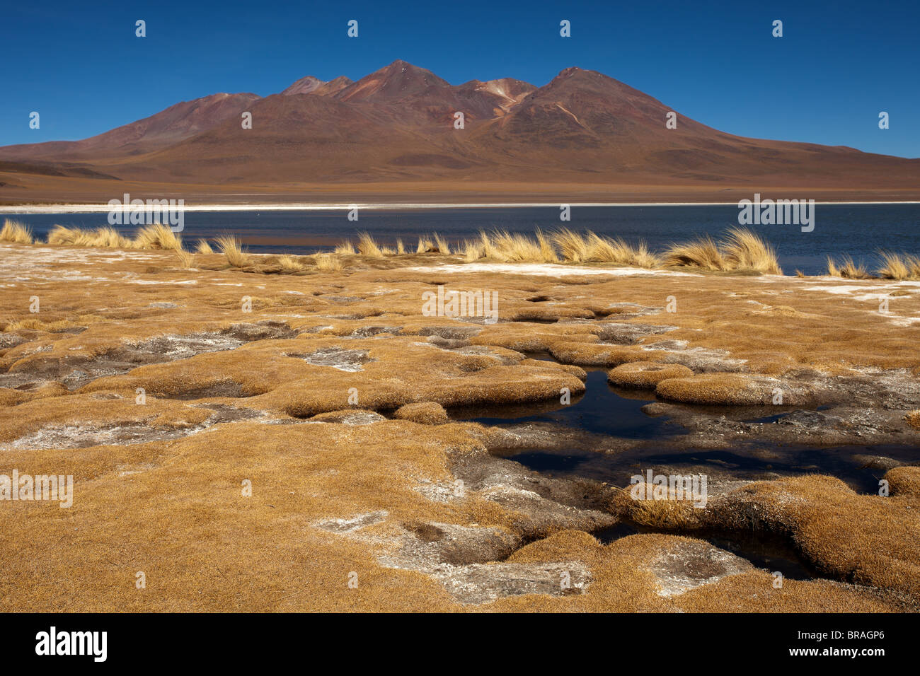 Eduardo Avaroa National Park Tour: Hedionda Lagoon Stock Photo - Alamy