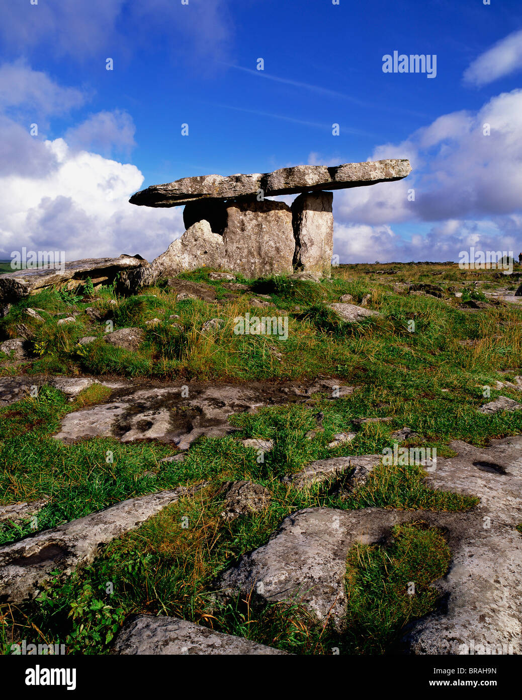 The Burren, Portal Dolmen, Co. Clare, Ireland Stock Photo - Alamy