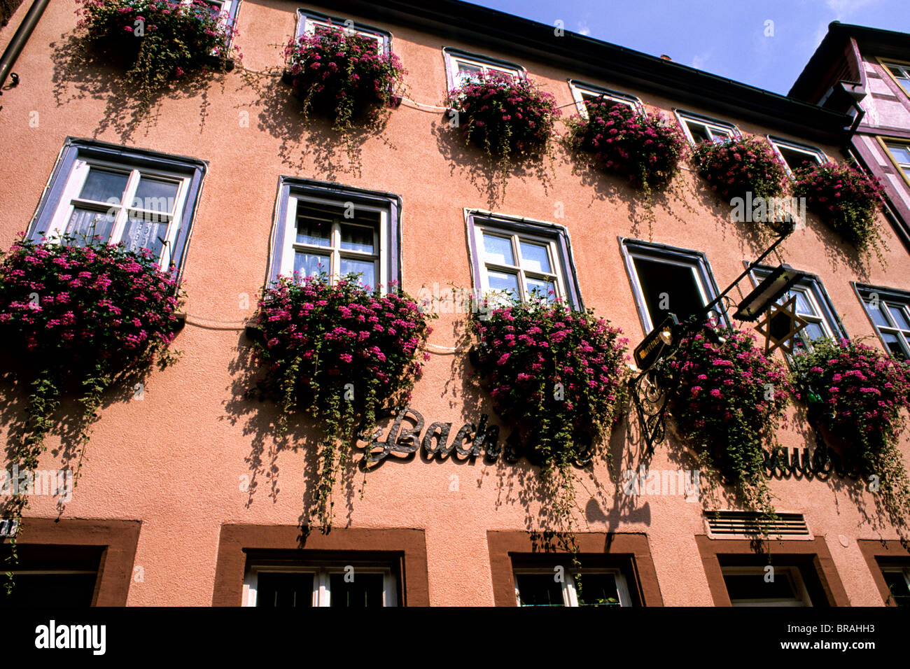 Germany Wertheim Old Town by Rhine River buildings Stock Photo - Alamy