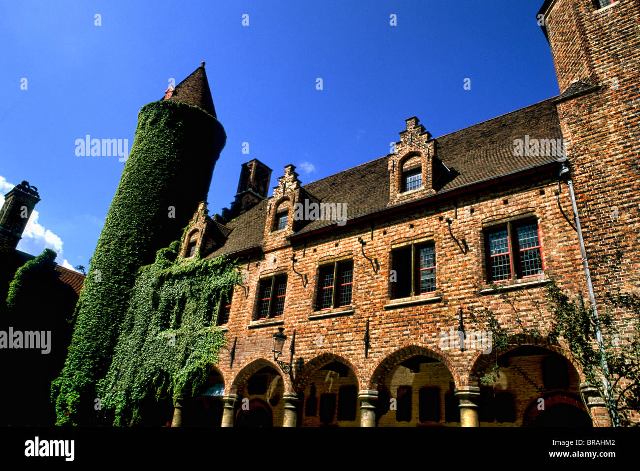 Belgium Ivy covered buiildings on Canals of beautiful Bruges Belgium ...