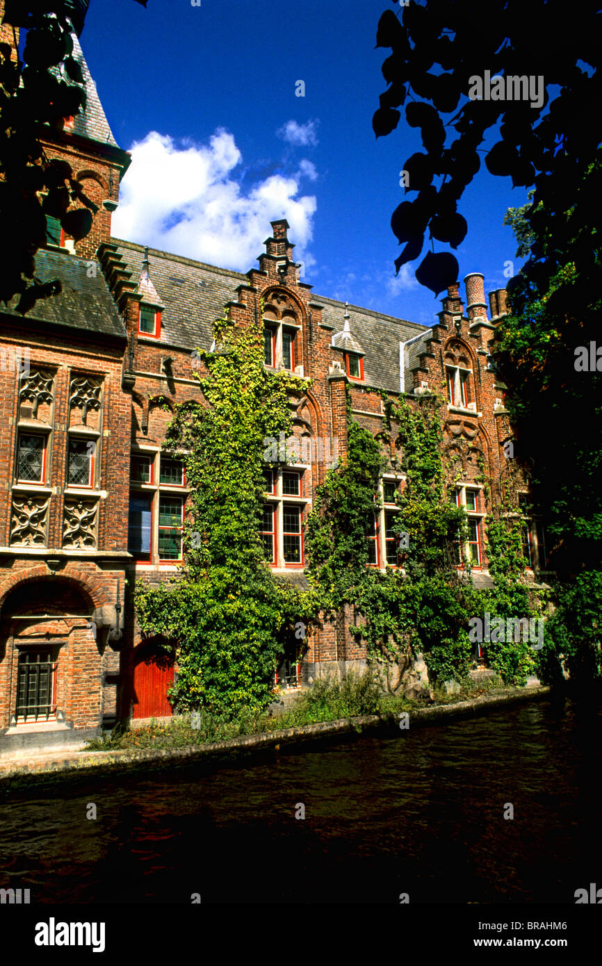 Belgium Ivy covered buiildings on Canals of beautiful Bruges Belgium ...
