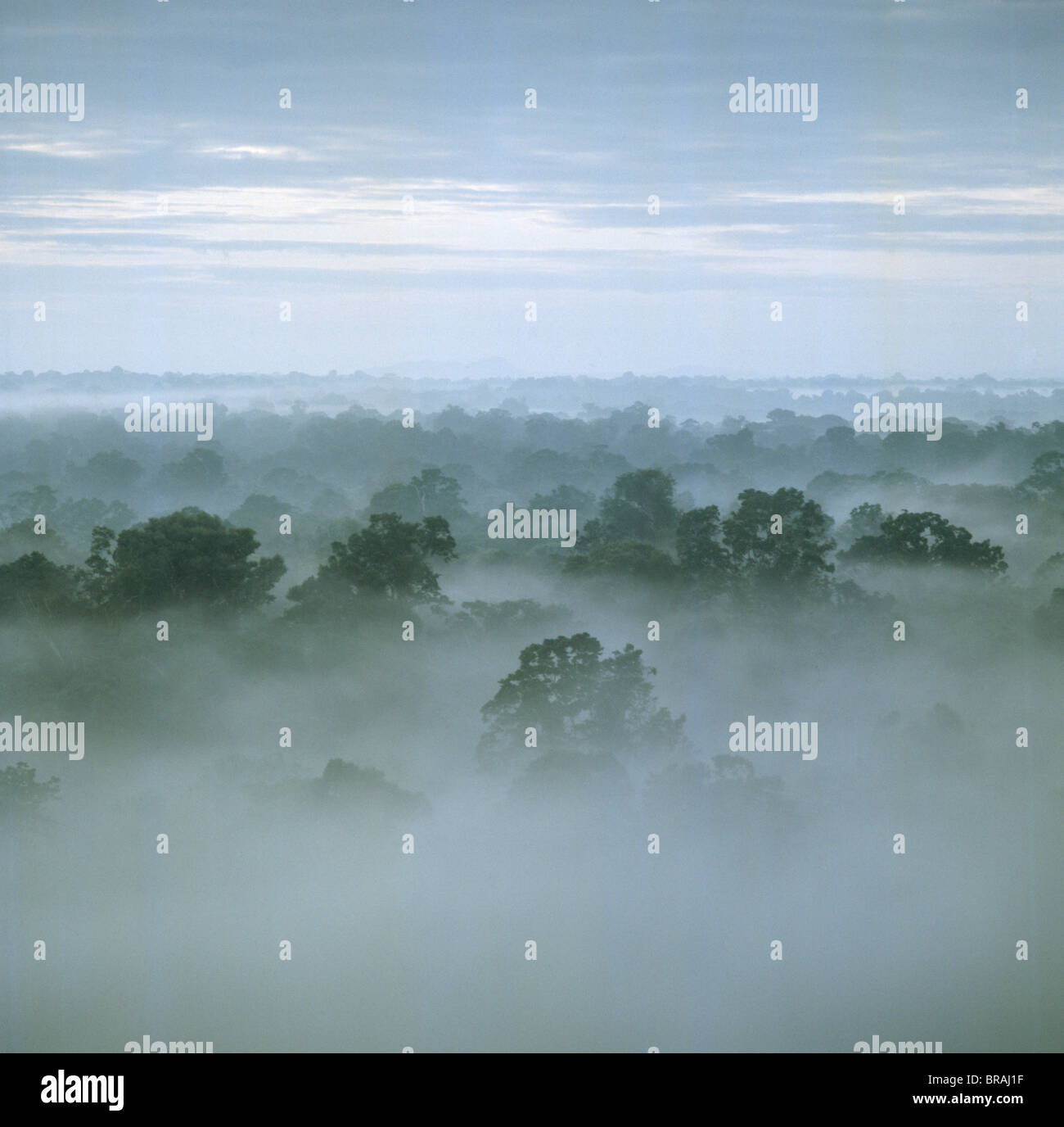 Raleighvallen voltzberg national park hi-res stock photography and ...