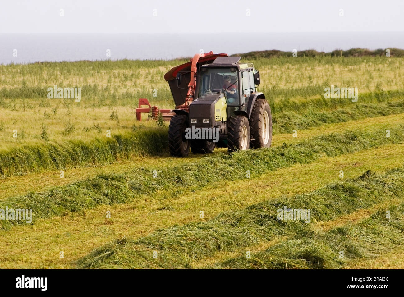 Co Waterford, Ireland; Silage Cutting Stock Photo - Alamy