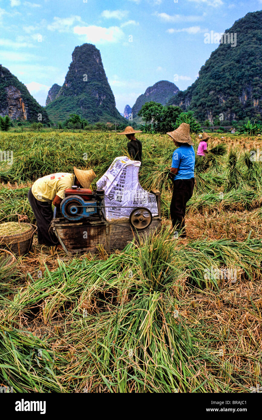 Local farmers grinding rice in mountain area of Li River in unique ...