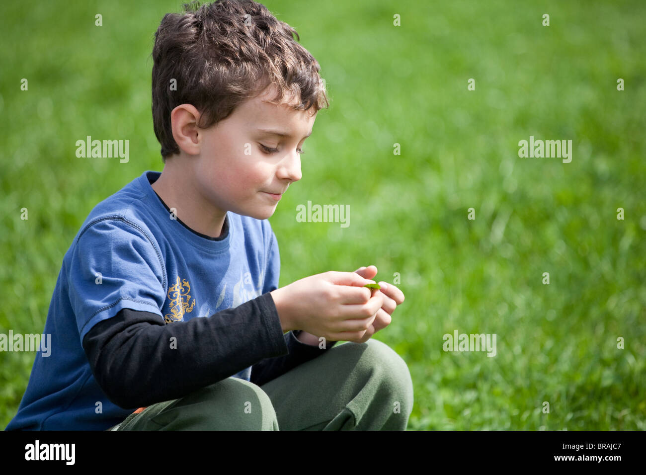 Portrait of a beautiful little boy in a grass field Stock Photo - Alamy