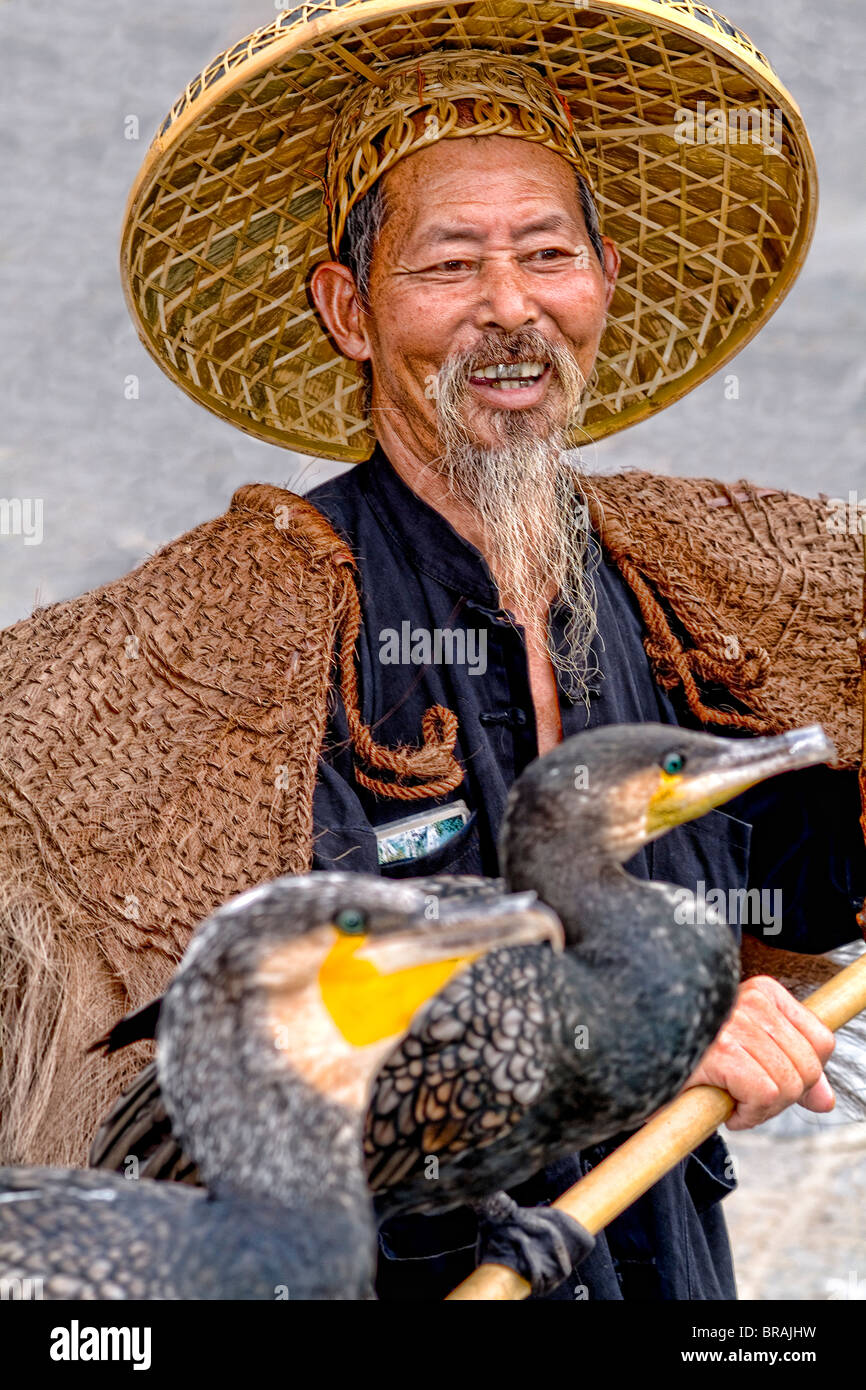 Cormorant Bird Fishing