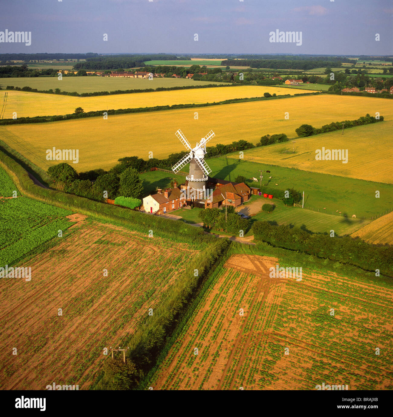 Aerial view of Bircham Windmill, Great Bircham, King's Lynn, Norfolk ...