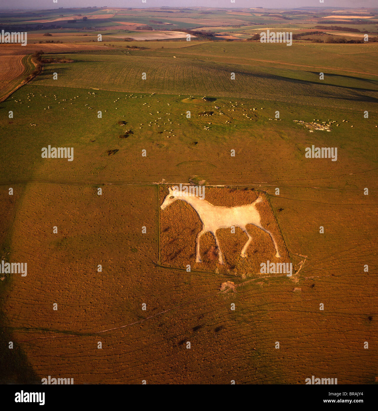 Aerial view of Alton Barnes White Horse, Alton Barnes, Wiltshire ...