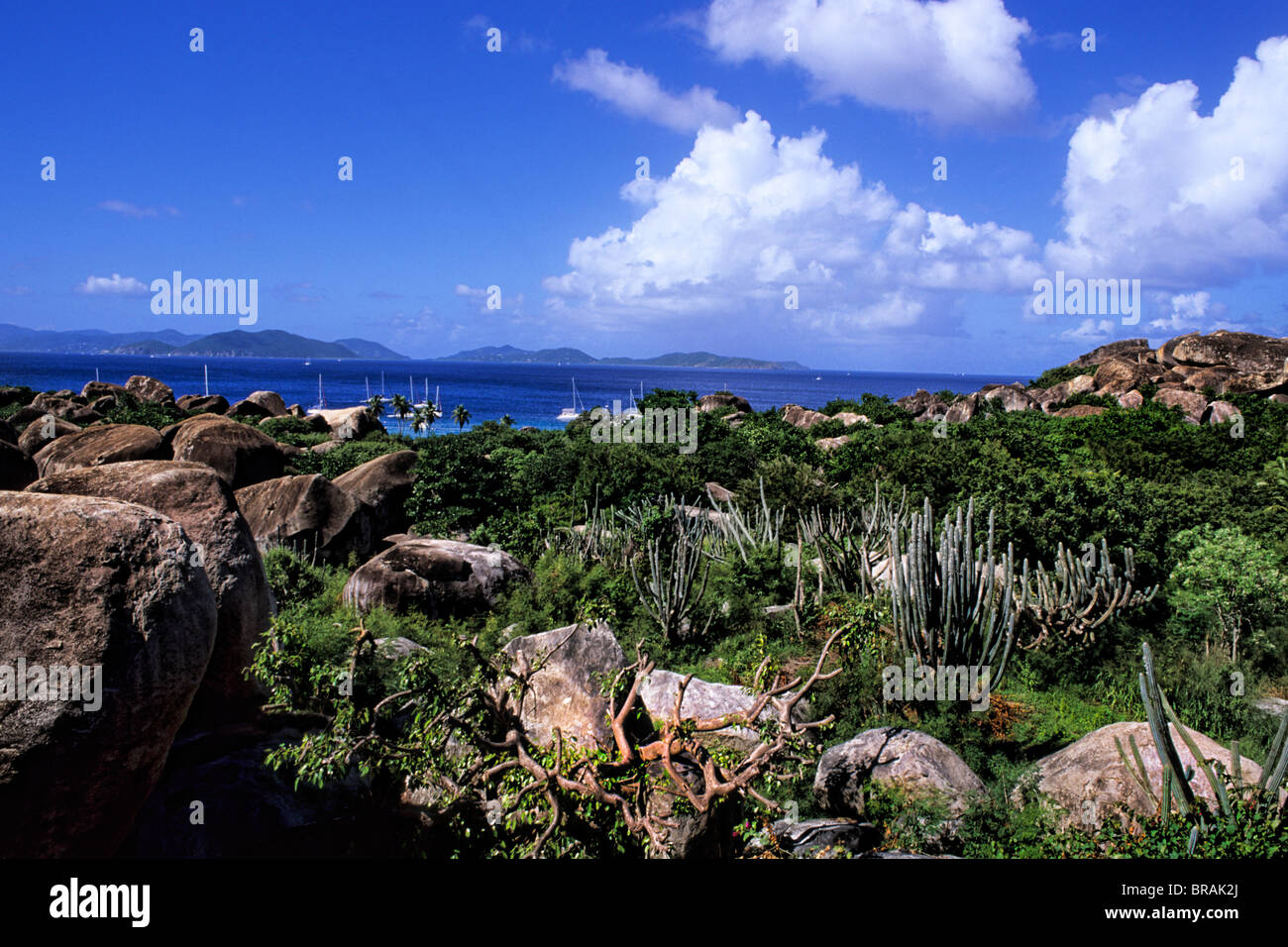 Beautiful rocks and landscape plants at The Baths of Virgin Gorda in ...