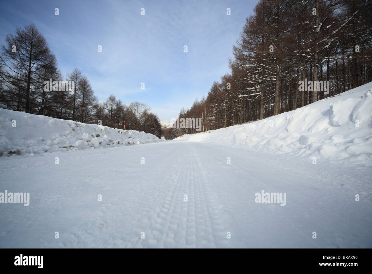 A seasonal road in winter that is lined with snow covered road Stock ...