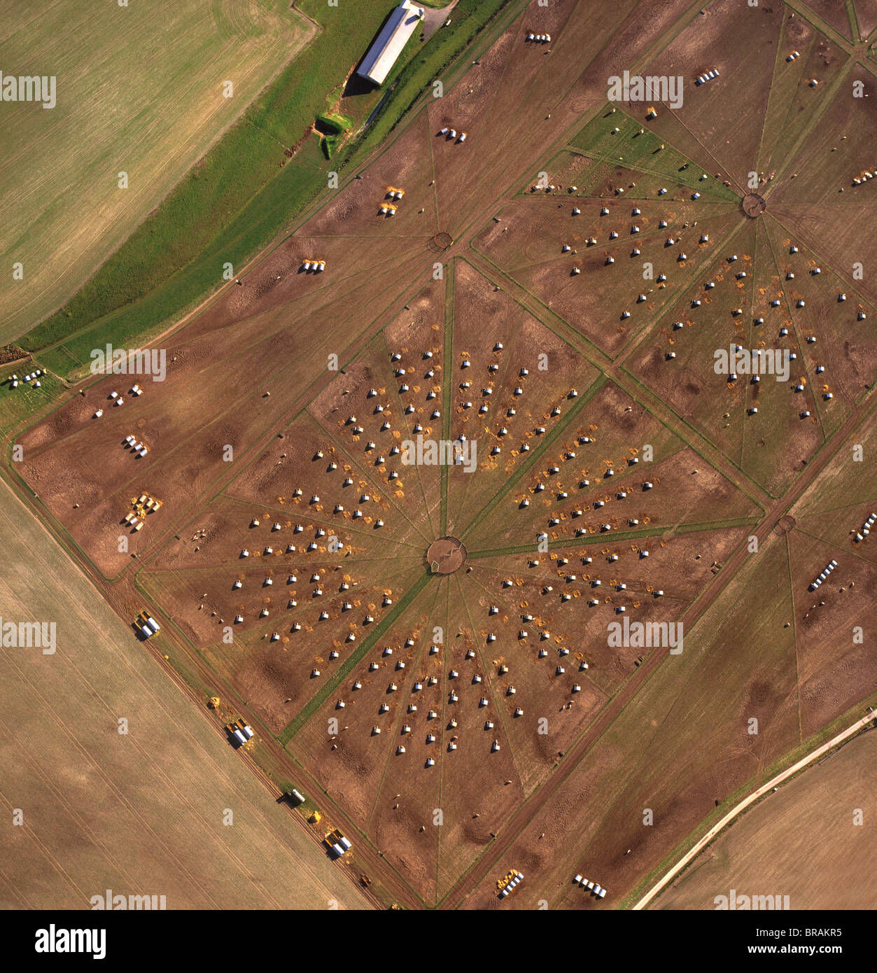 Aerial image of a pig farm, Wiltshire, England, United Kingdom, Europe ...