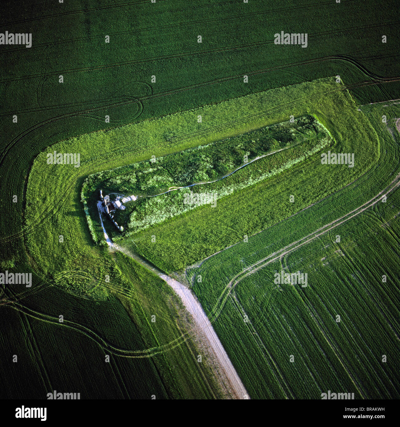 Aerial image of West Kennet Long Barrow, a Neolithic tomb or barrow, on ...