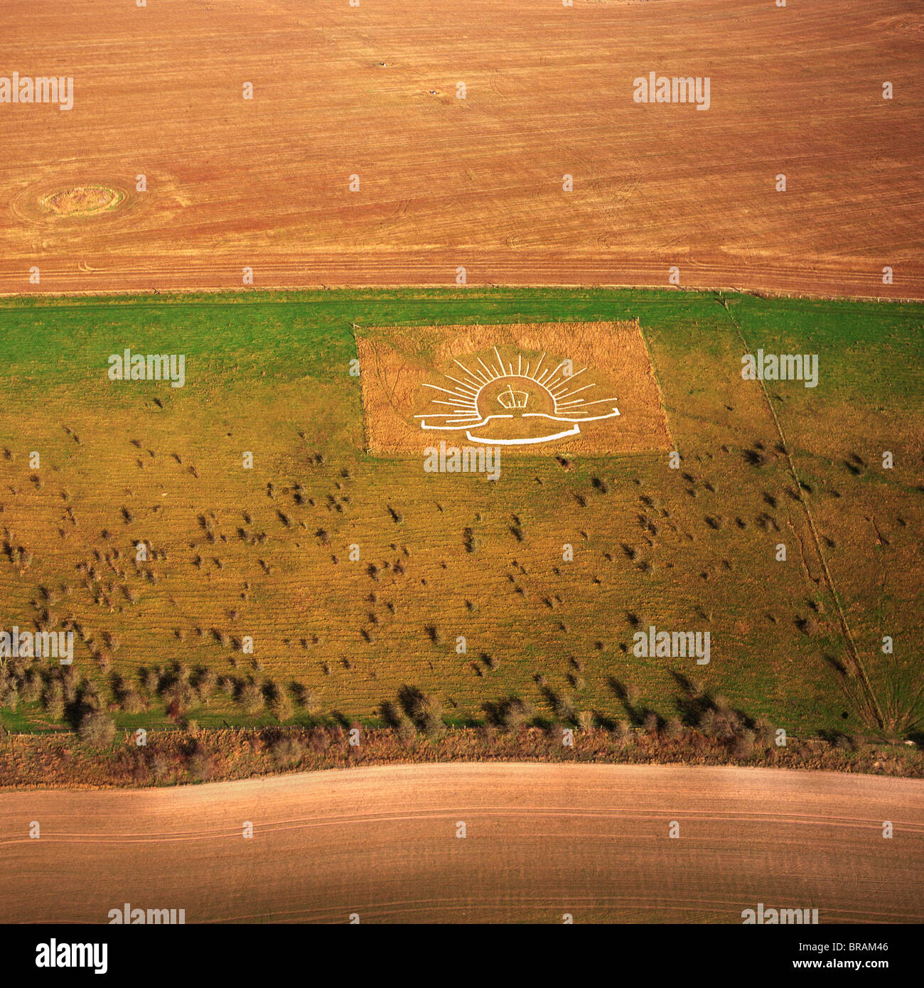 Lamb down military badge hi-res stock photography and images - Alamy