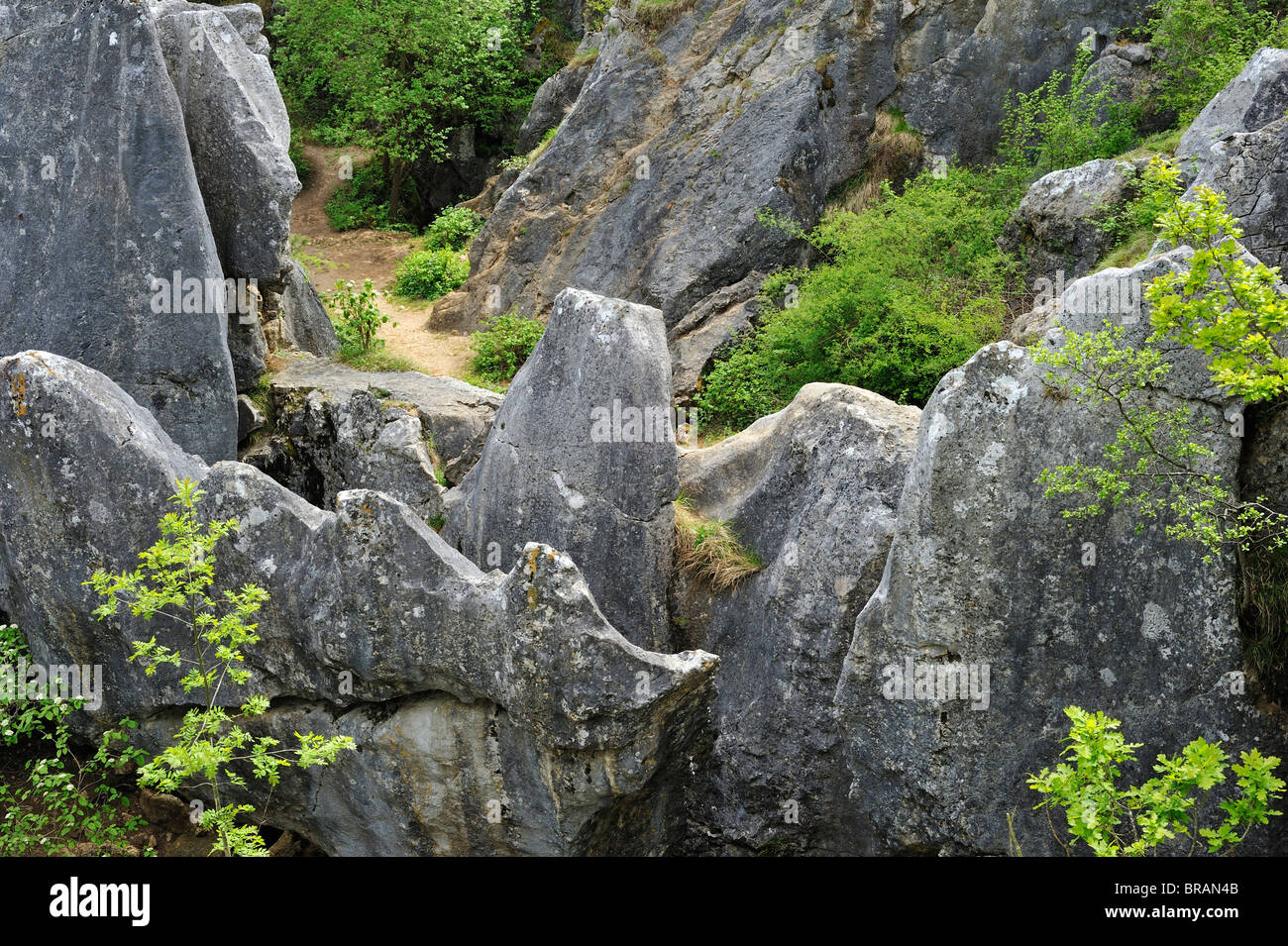 Eroded rocks of ravine in the nature reserve Fondry des Chiens, a ...