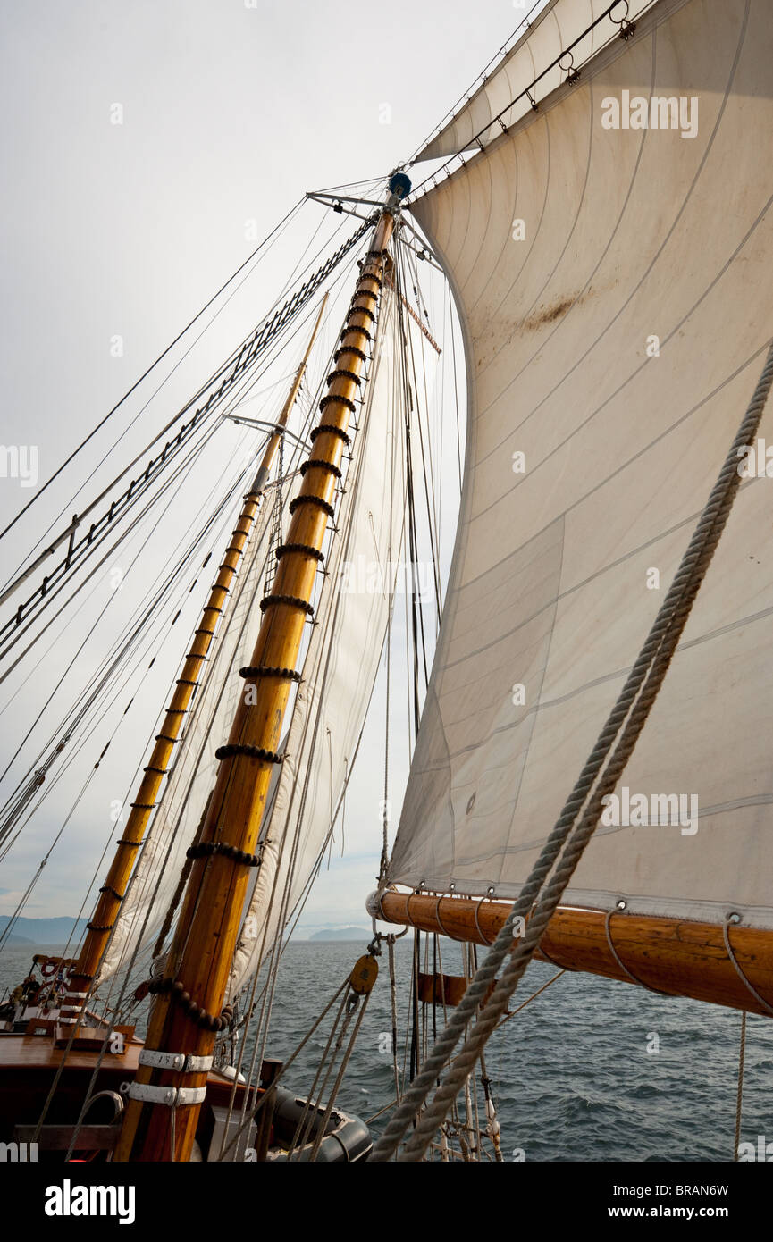Fantail boat hi-res stock photography and images - Alamy